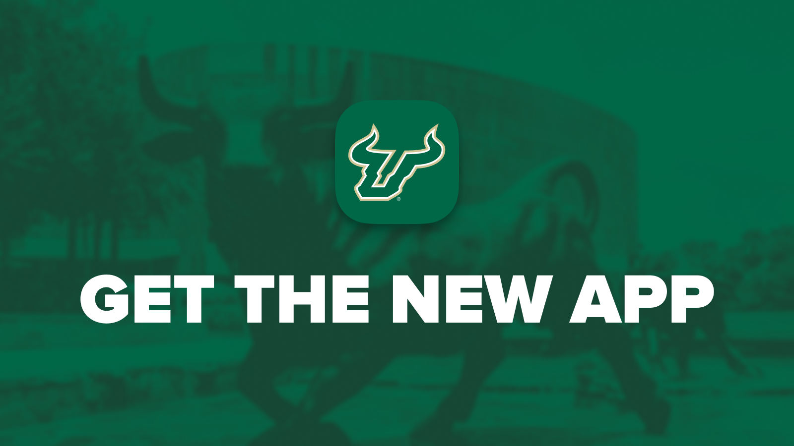 Download the South Florida Bulls App